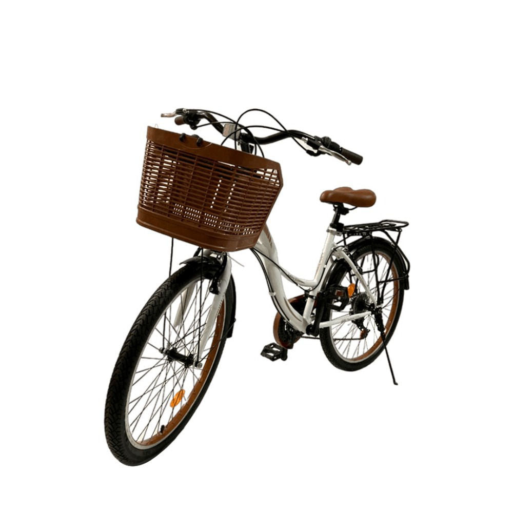 TEC Bike Vision Holiday (24 Inch) – TOYS 4 LESS